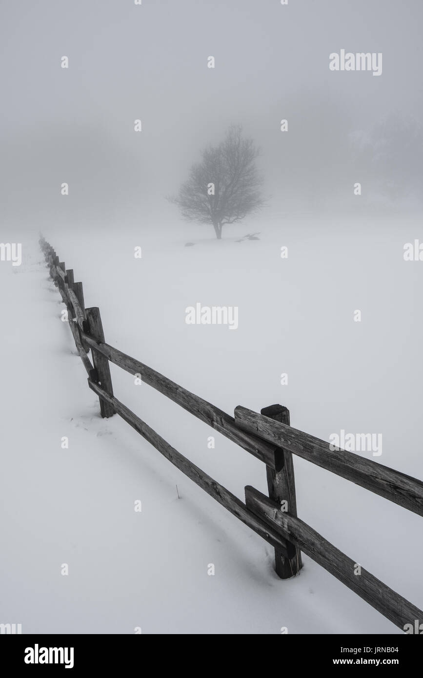 1200 meter hi-res stock photography and images - Alamy