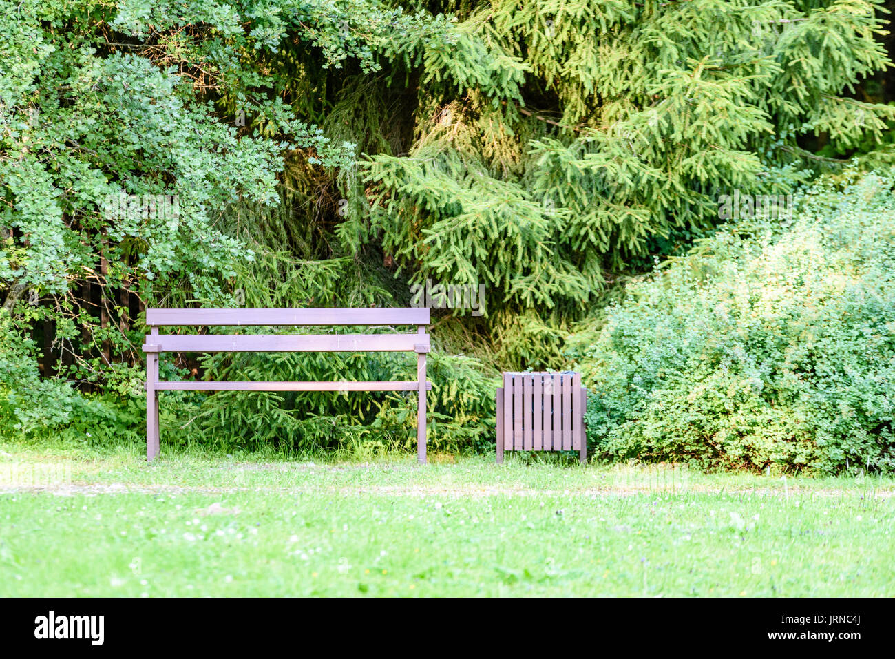 bench in beautiful park in autumn in colorful morning Stock Photo - Alamy