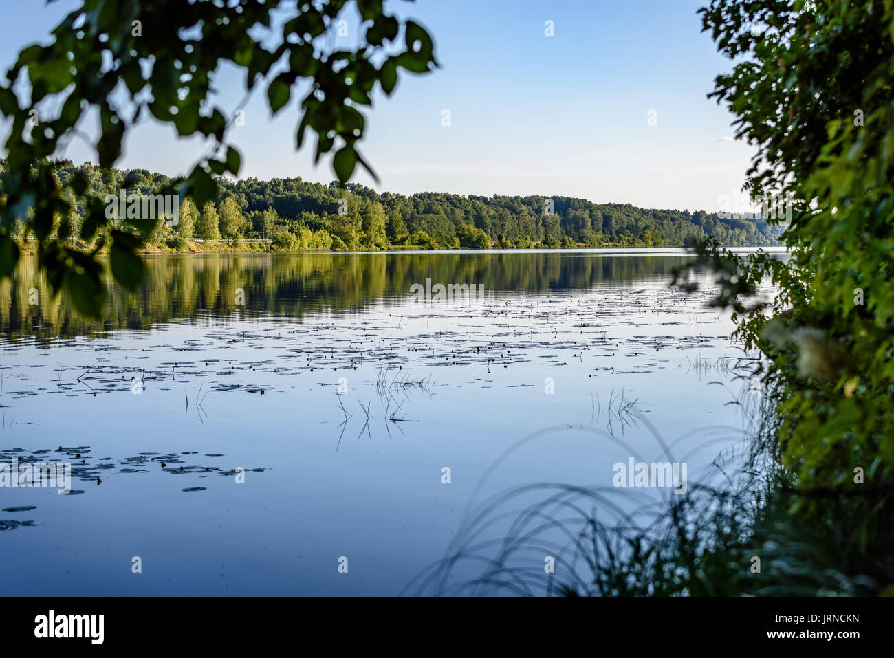 reflection of clouds in the lake with forest and trees in background ...