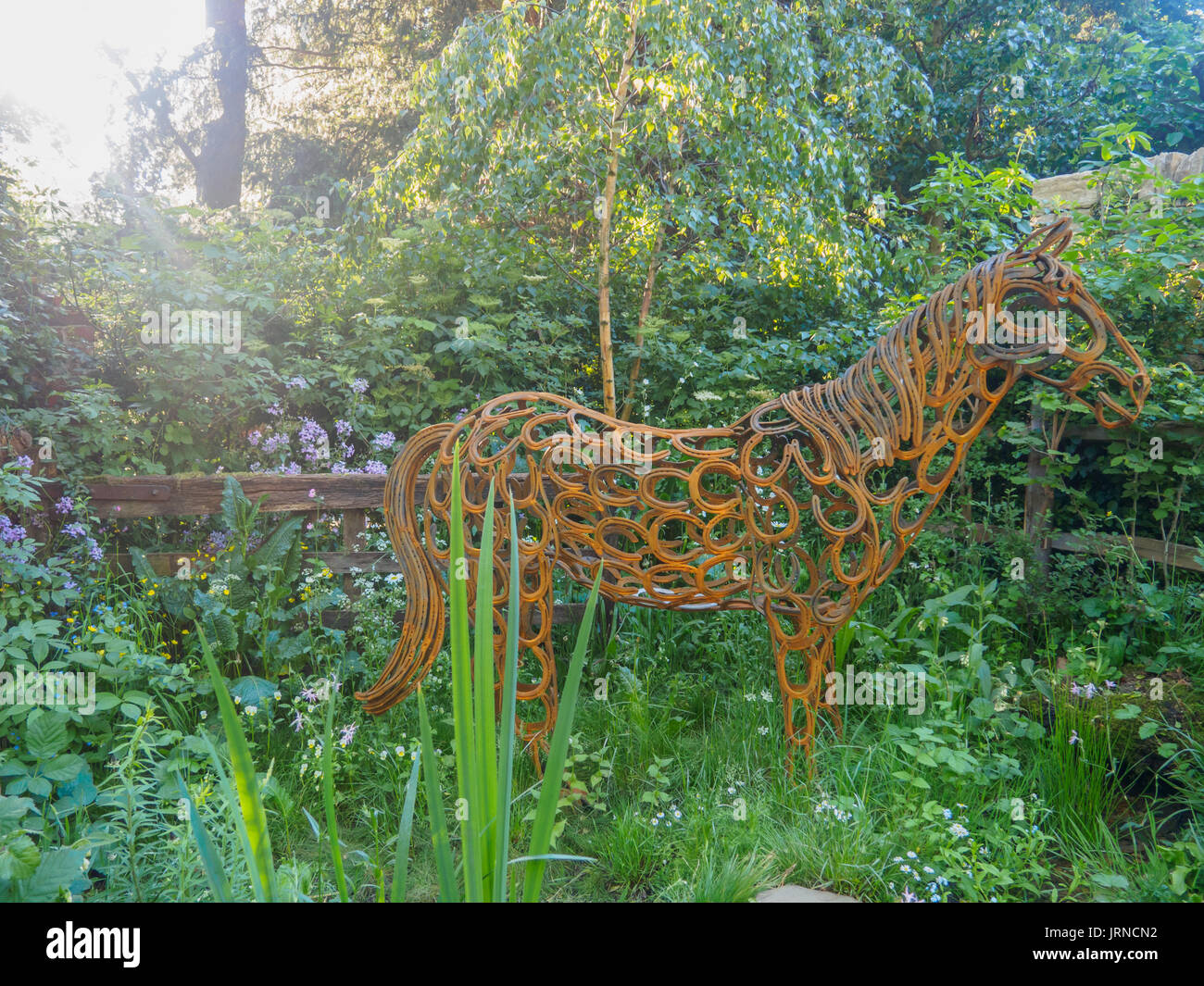 World horse welfare hi-res stock photography and images - Alamy