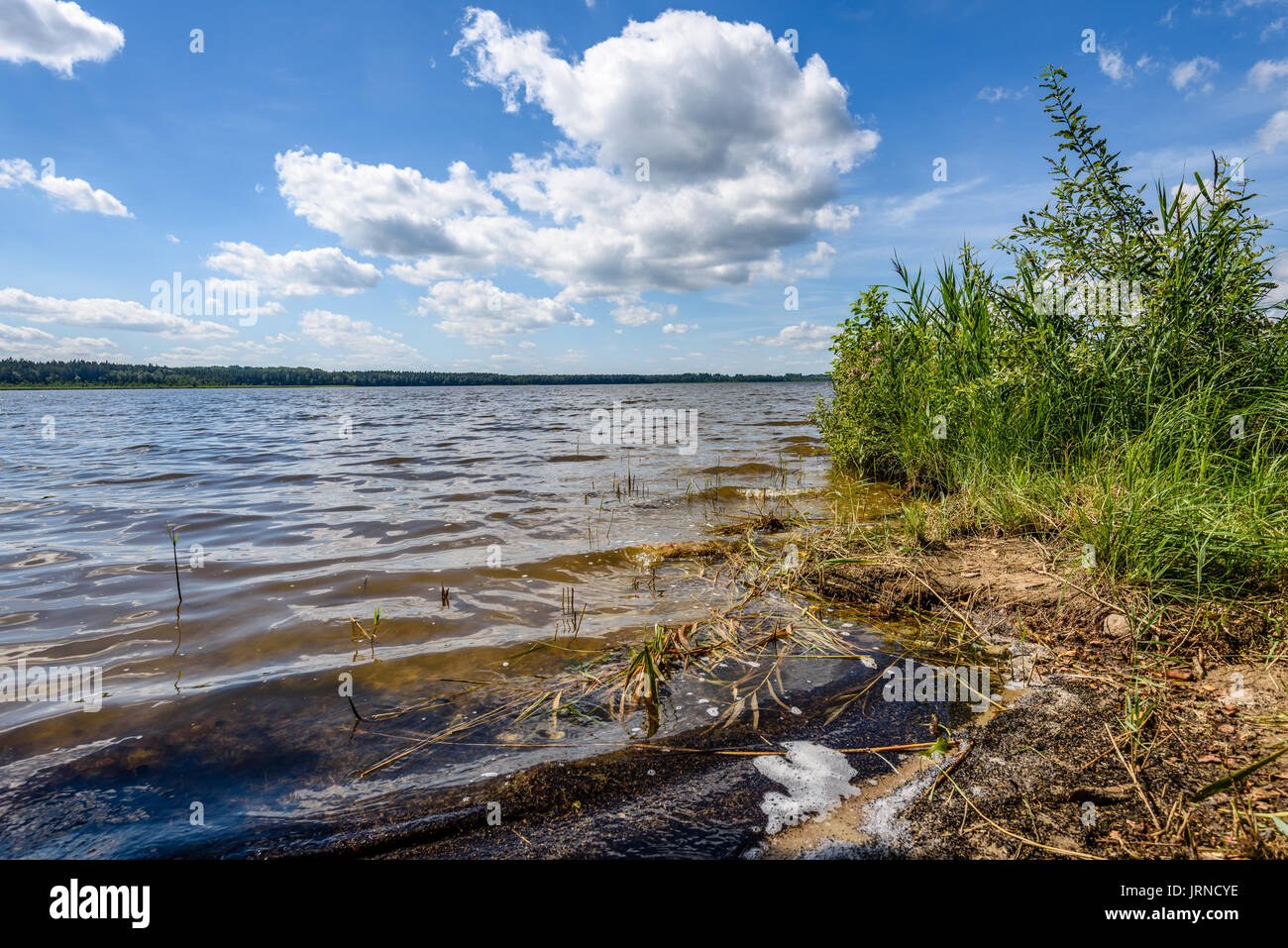 reflection of clouds in the lake with forest and trees in background ...