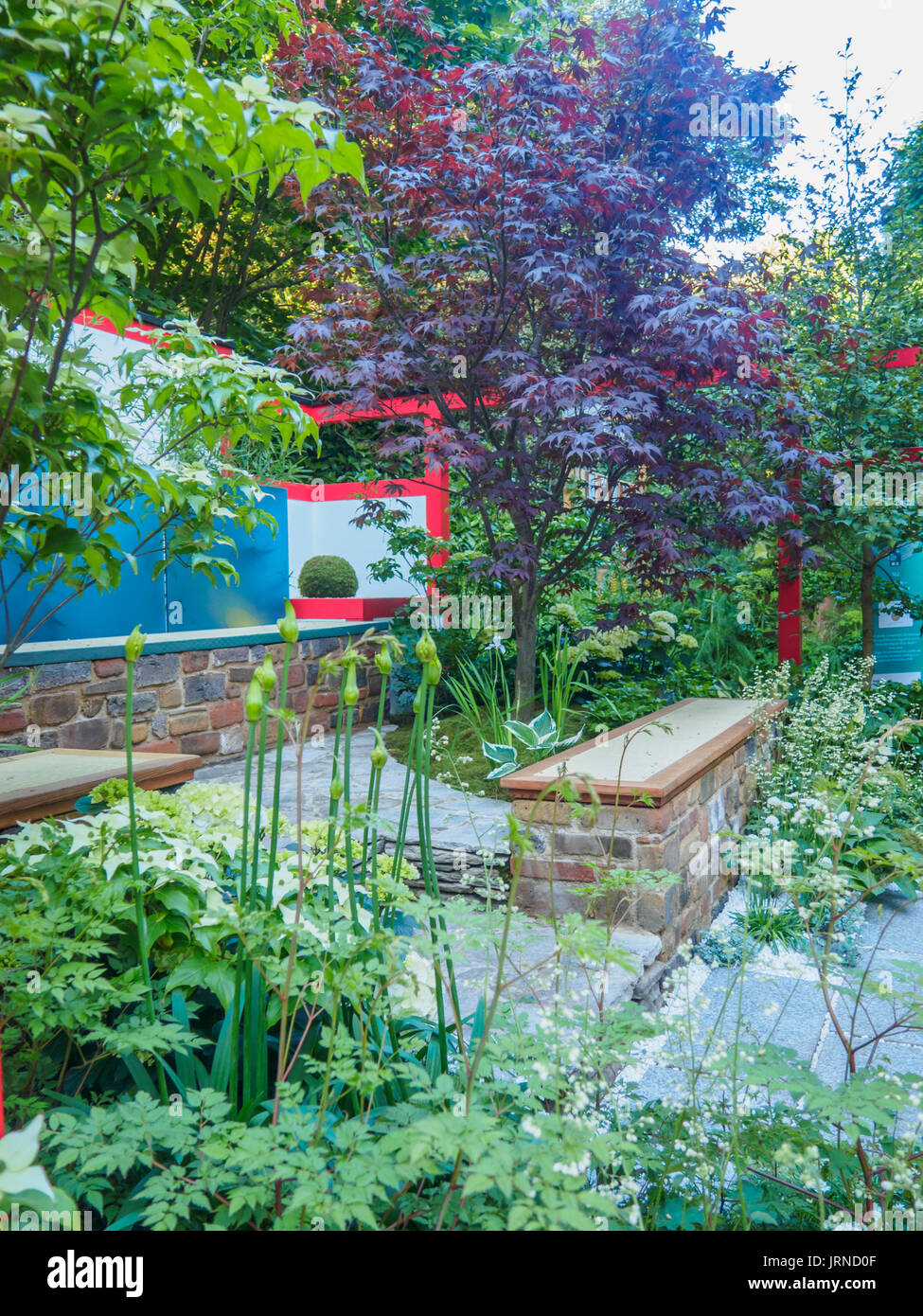 Japanese show garden chelsea flower hi-res stock photography and images ...