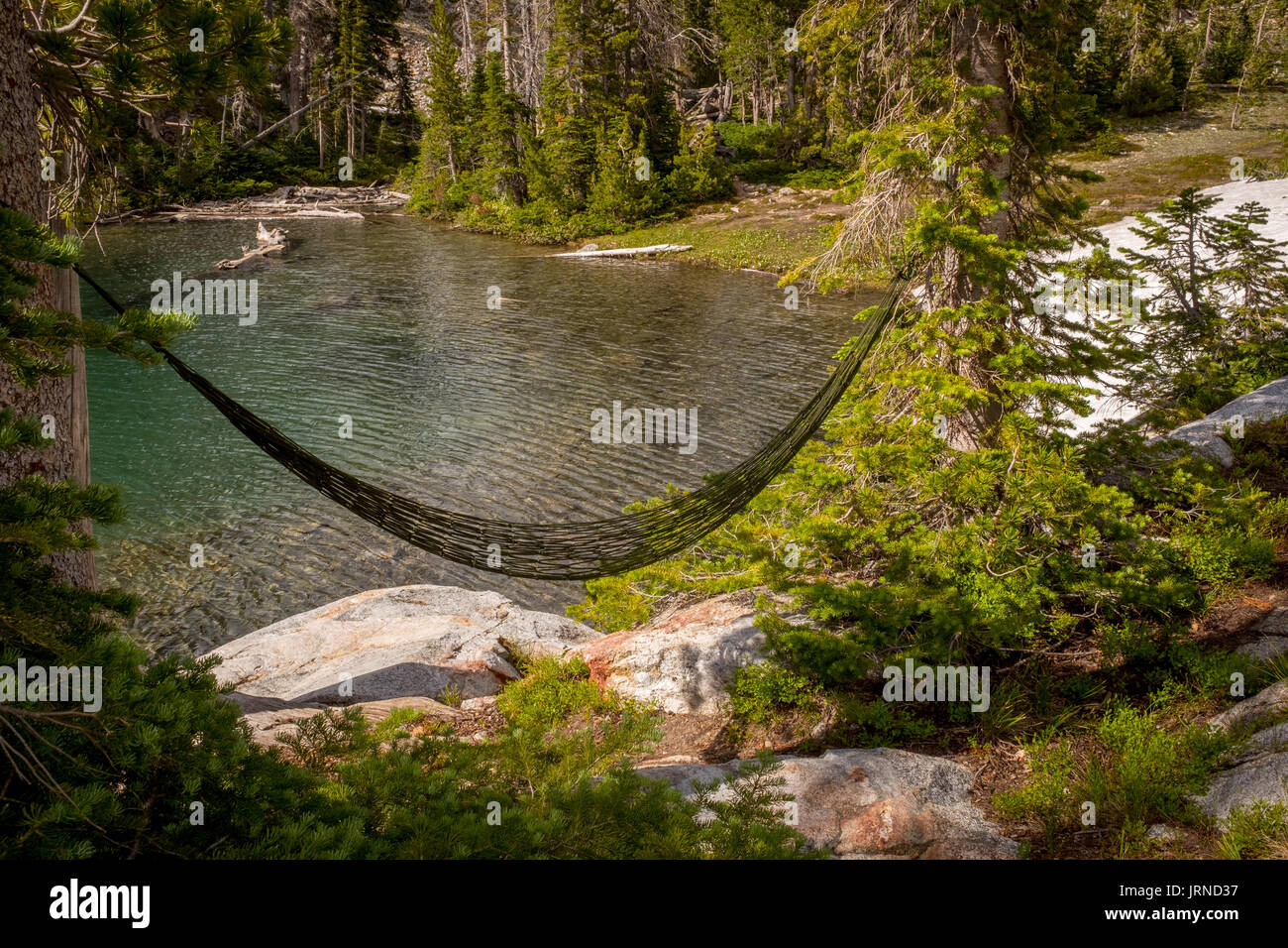 Comfortable resting place in the wilderness is a hammock between two ...