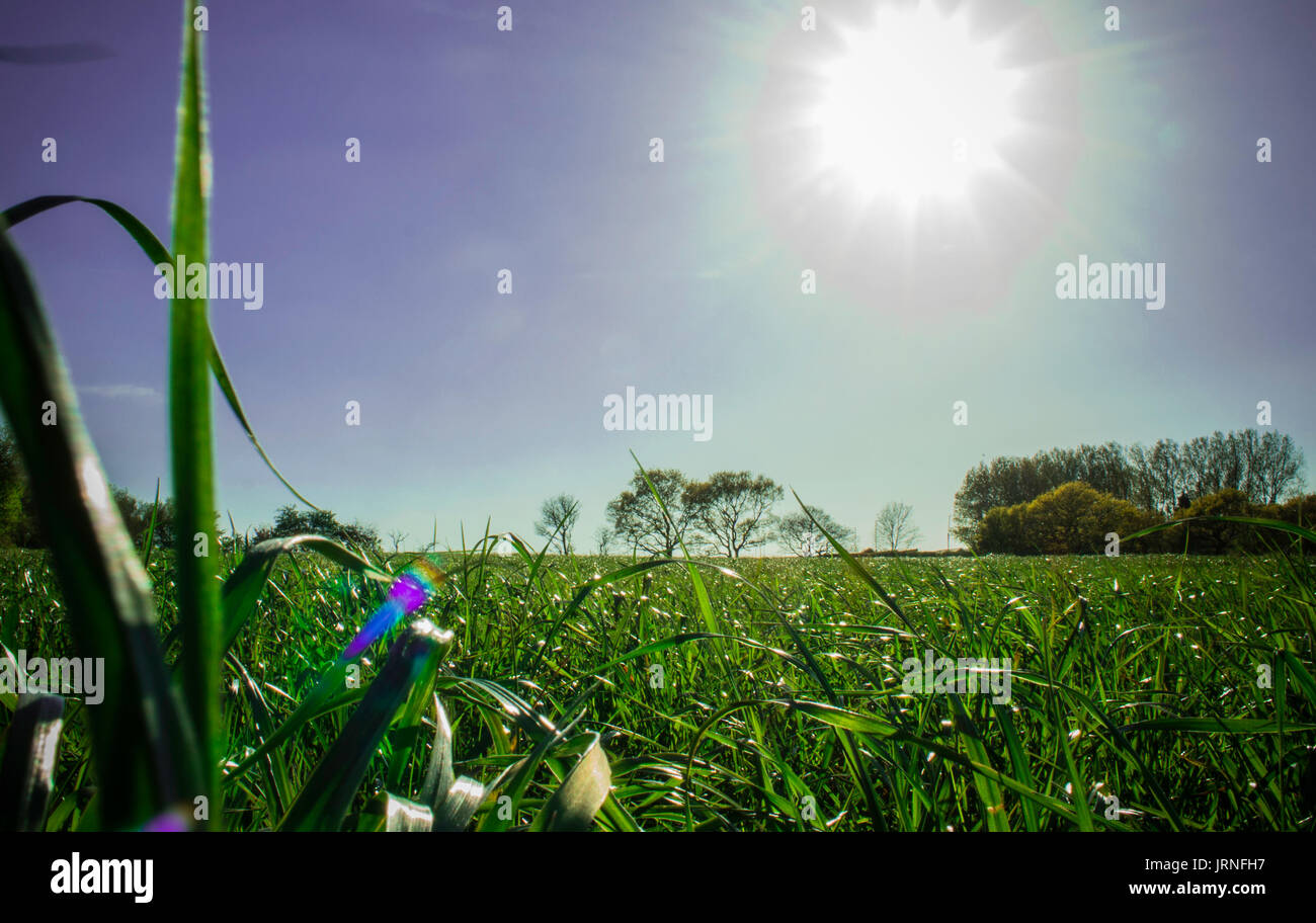 Sun shining on fields hi-res stock photography and images - Alamy