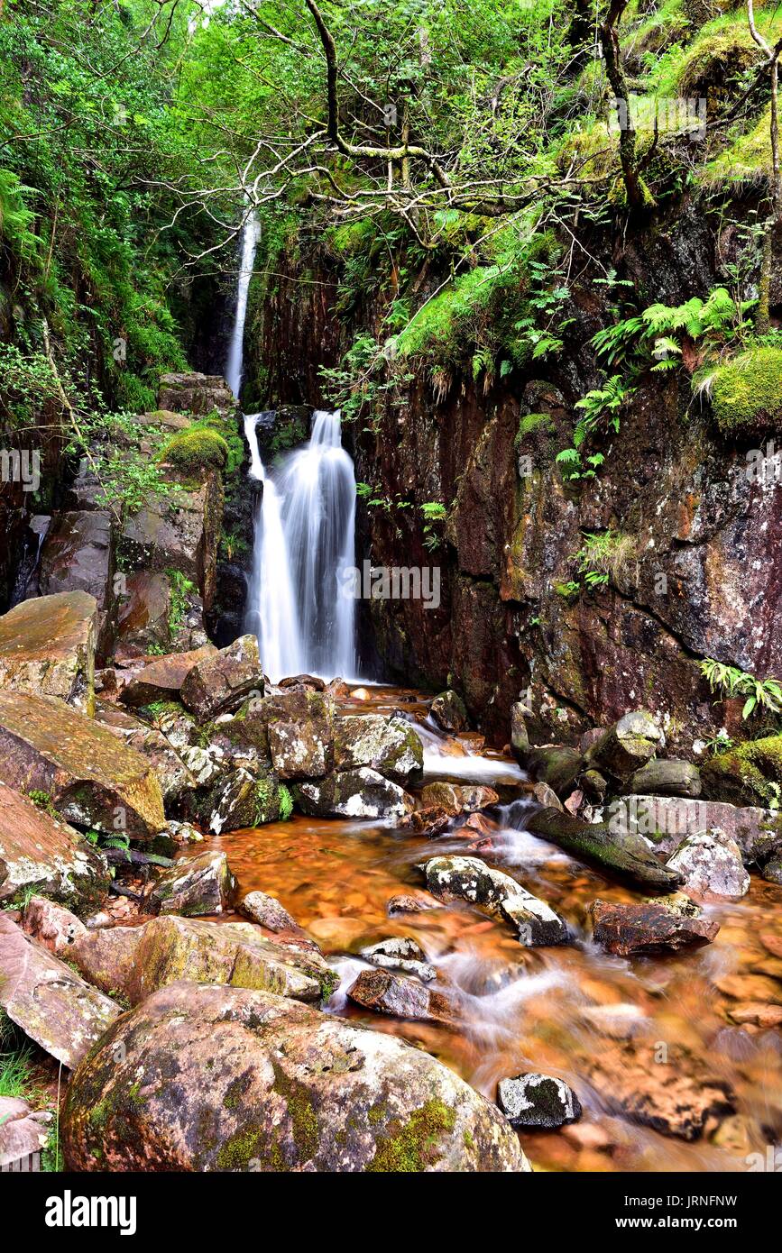 Scale beck hi-res stock photography and images - Alamy