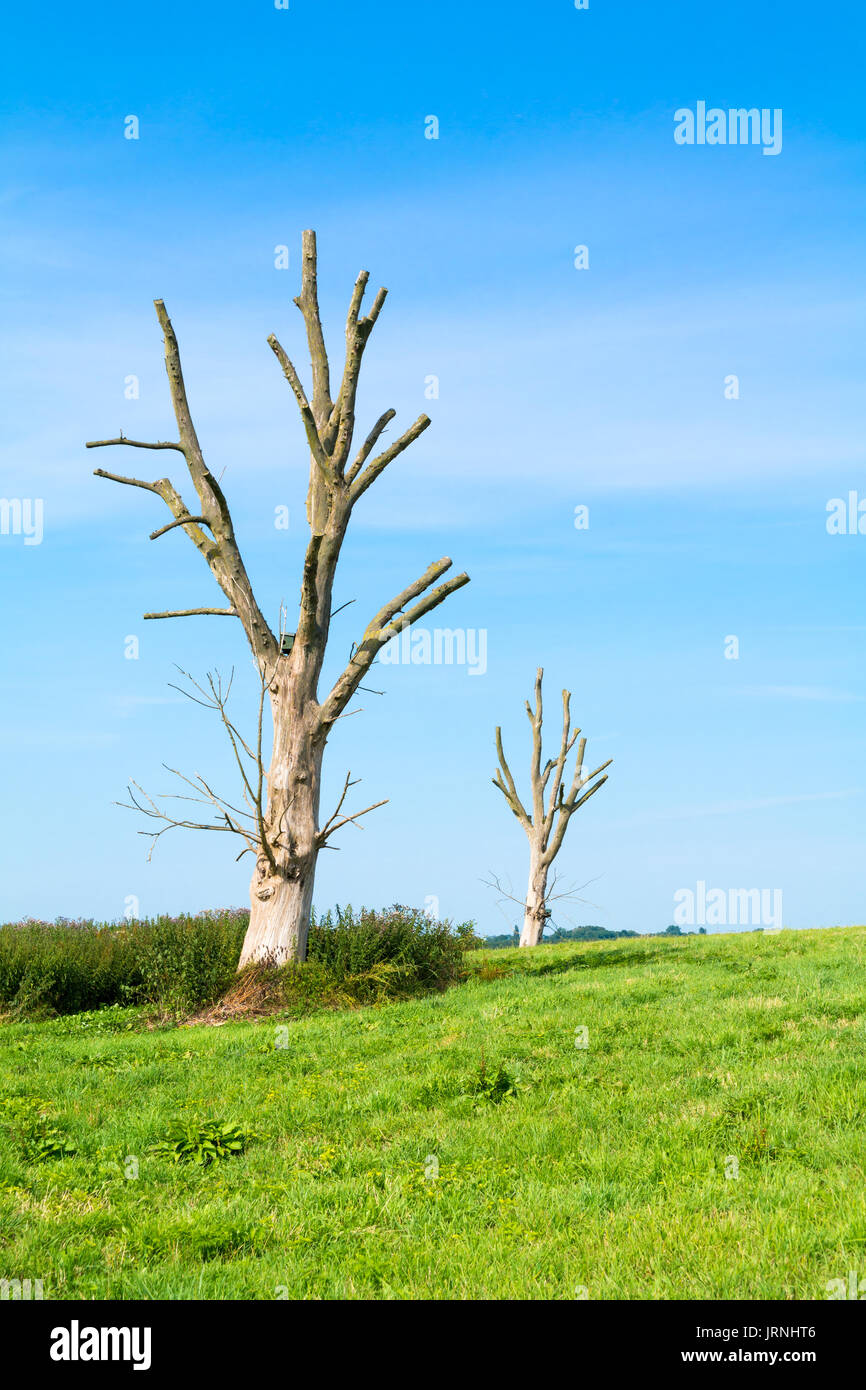 Schokland netherlands hi-res stock photography and images - Alamy