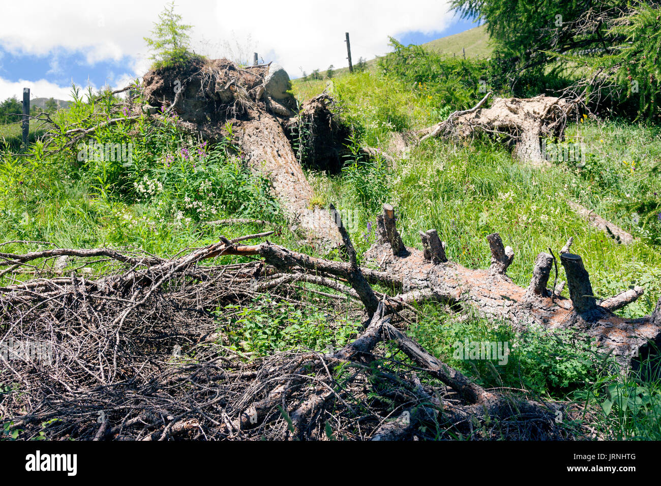 Wild landscape in St Moritz Stock Photo - Alamy
