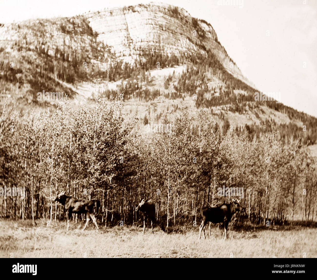 Vintage canada hi-res stock photography and images - Alamy