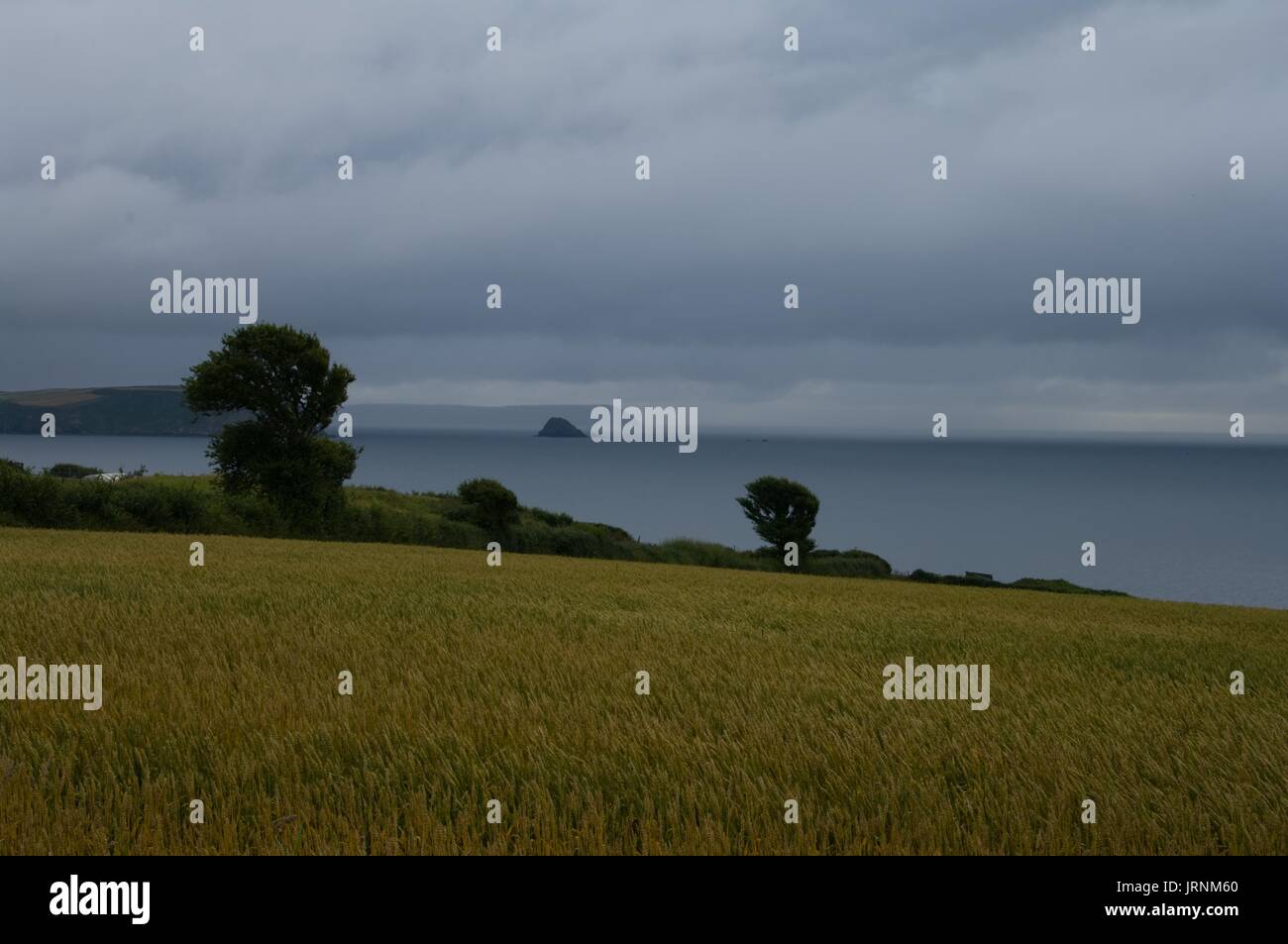 View of Gull Rock from the Roseland Peninsula, Cornwall Stock Photo - Alamy
