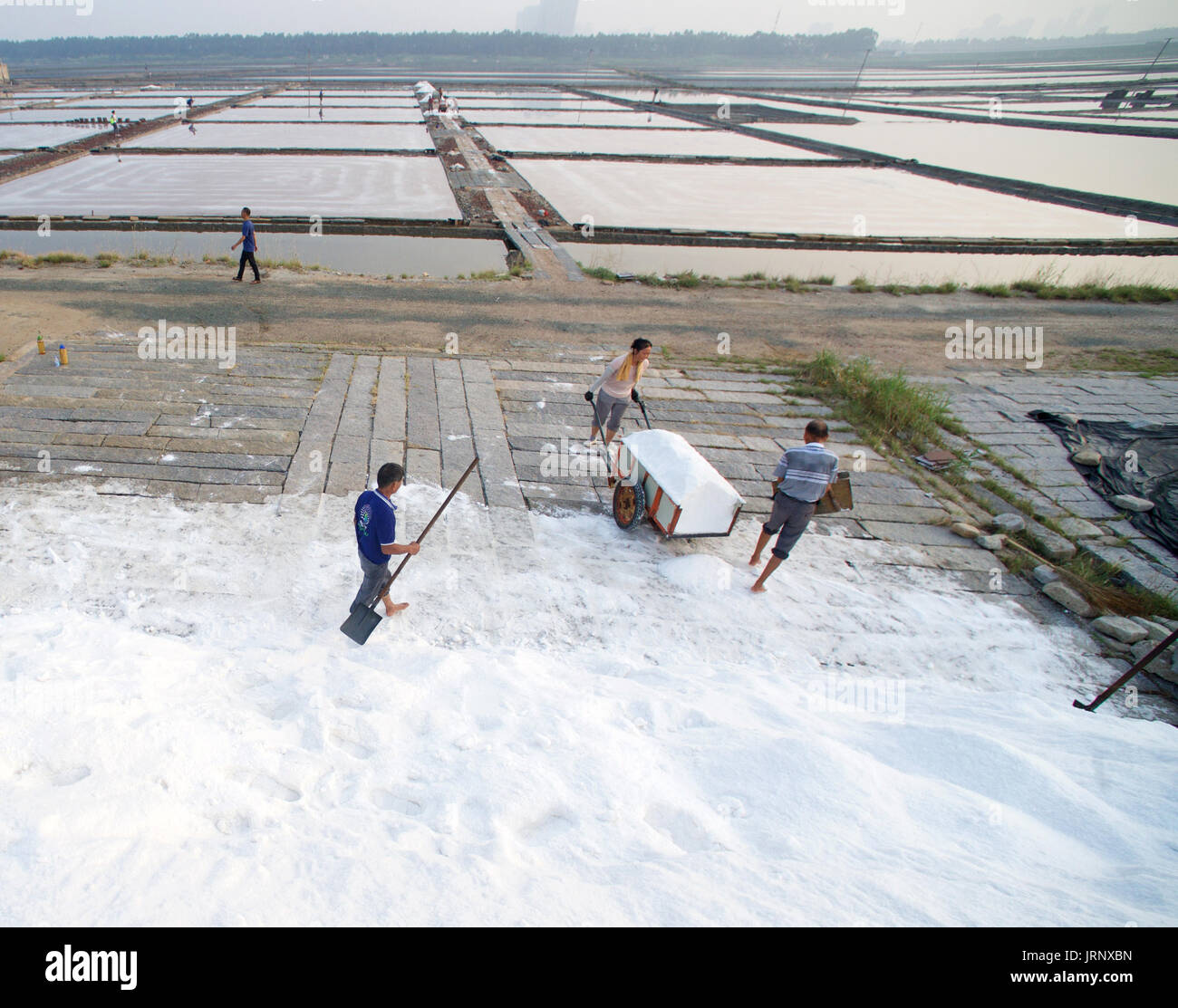 Quanzhou, China's Fujian Province. 6th Aug, 2017. Workers pile up salt ...
