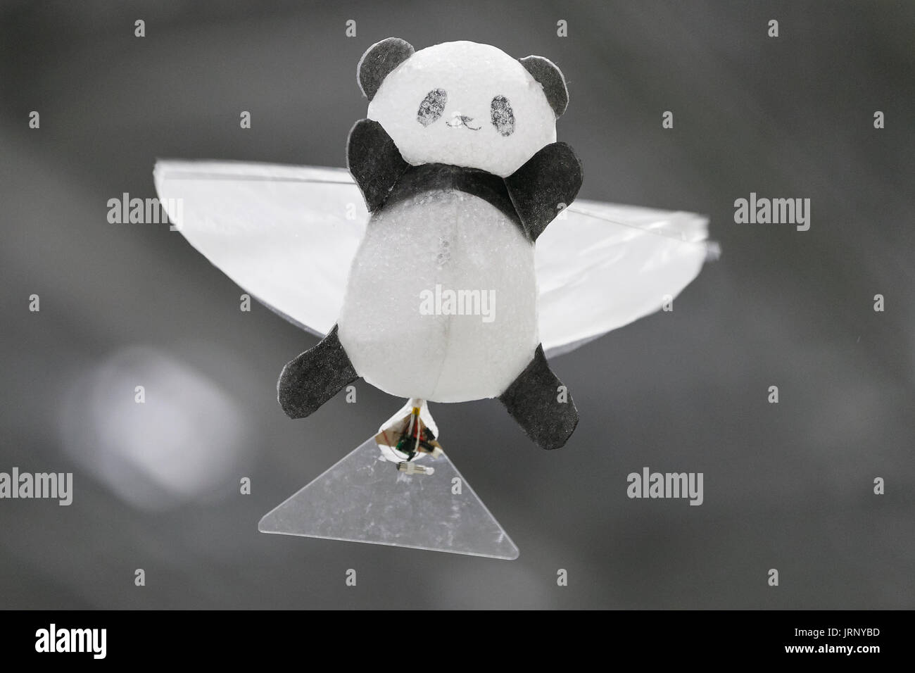 Panda books hi-res stock photography and images - Alamy