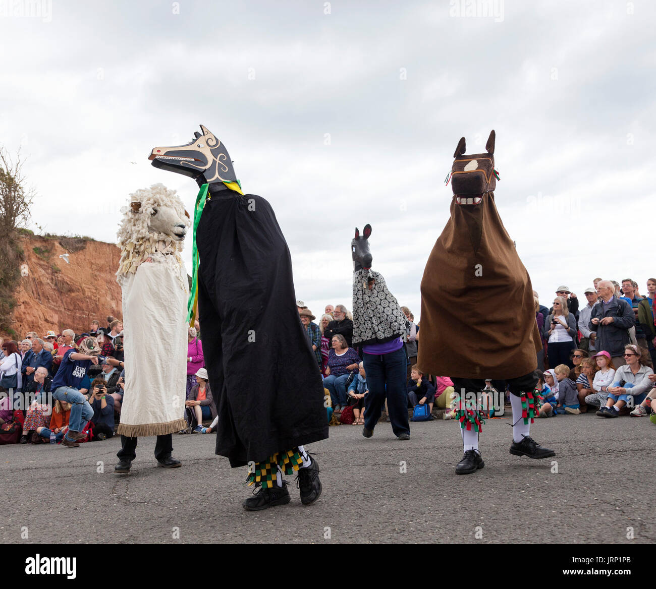 Any second now horse hi-res stock photography and images - Alamy