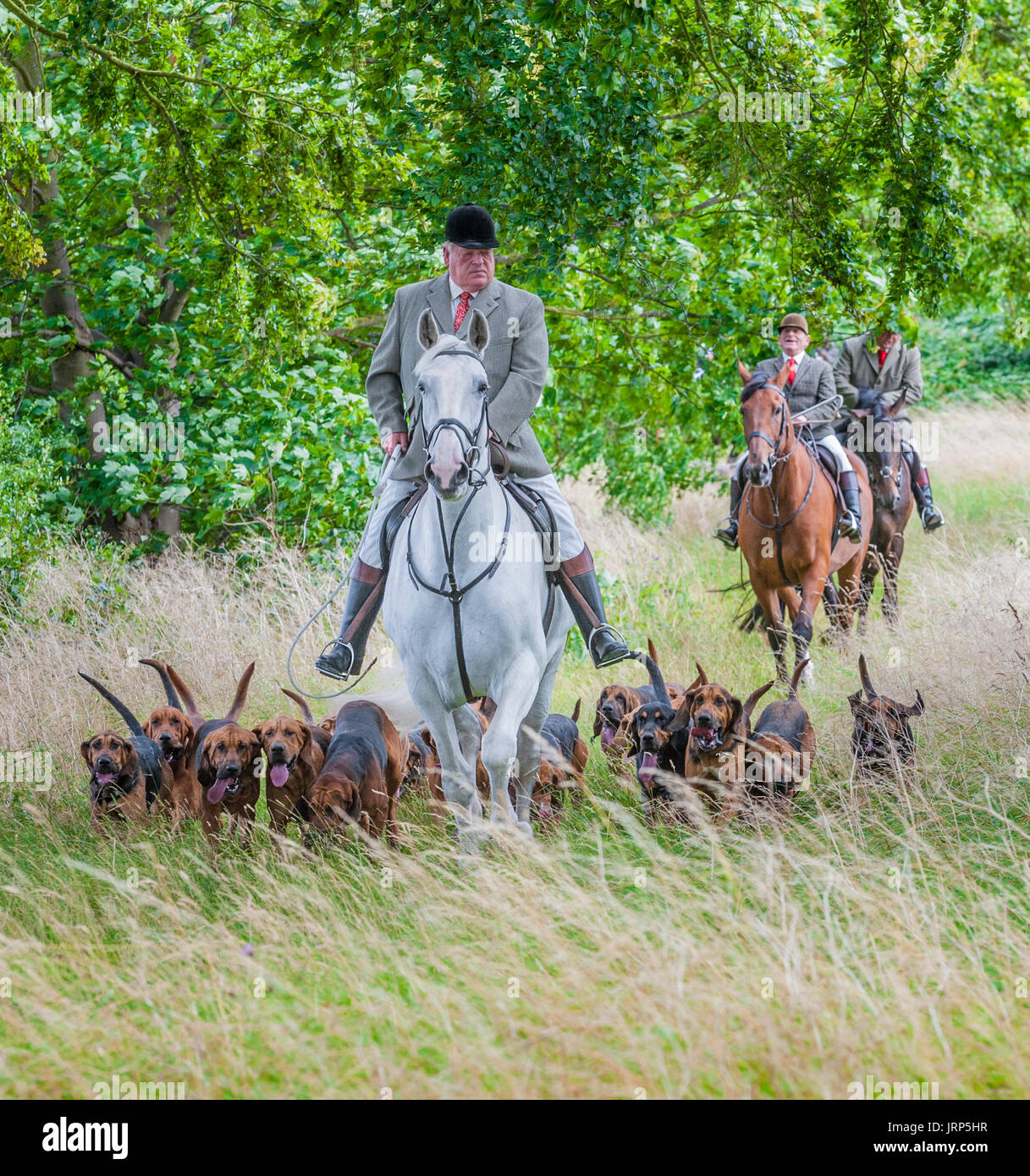 Riding to the hounds hi-res stock photography and images - Alamy