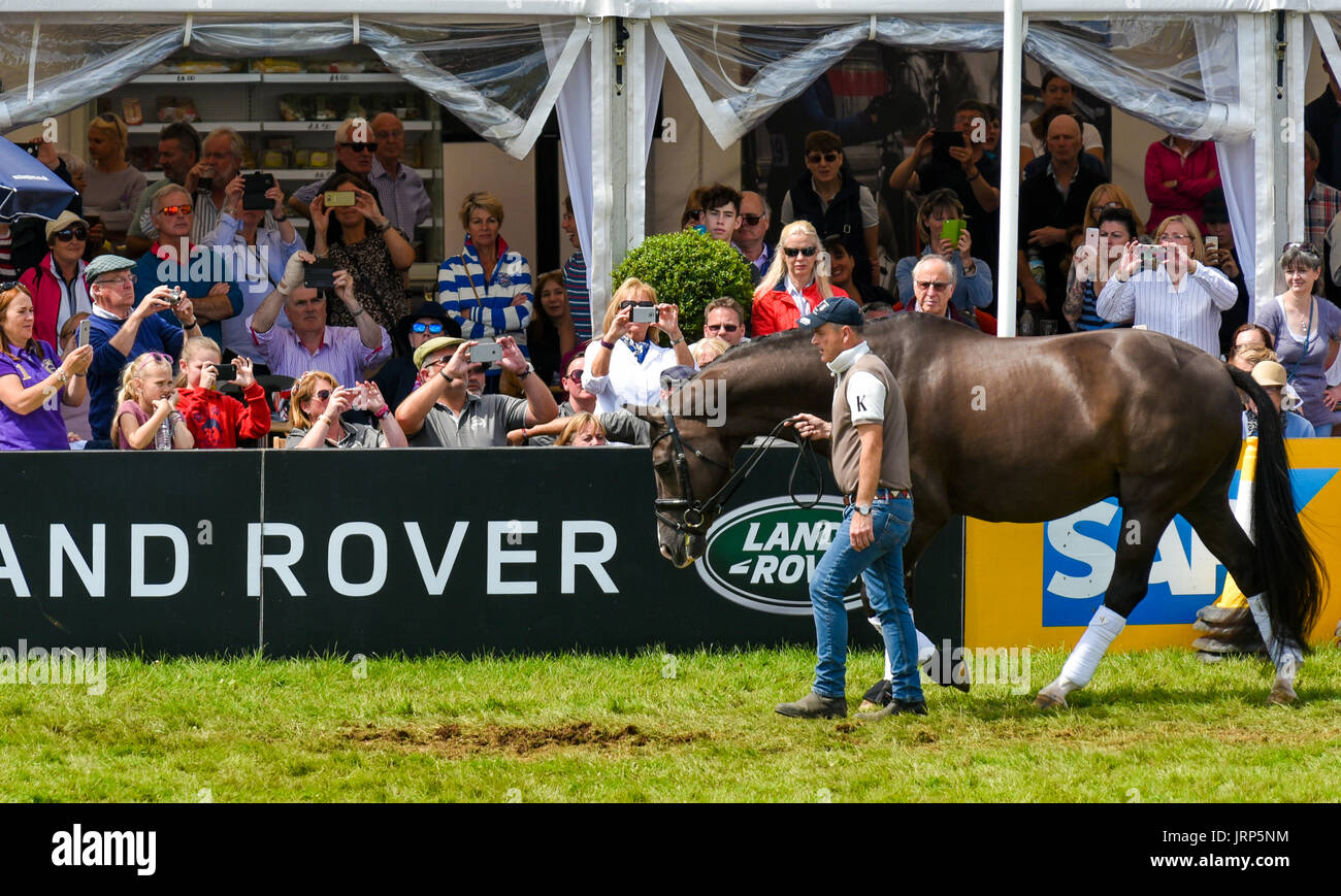 Twice olympic dressage winner hi-res stock photography and images - Alamy