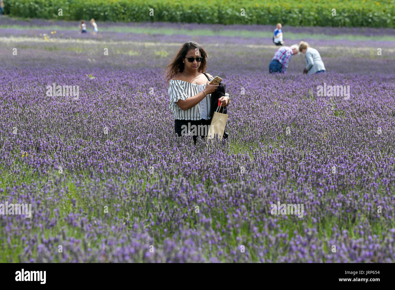 Woman grows plants farm hi-res stock photography and images - Alamy