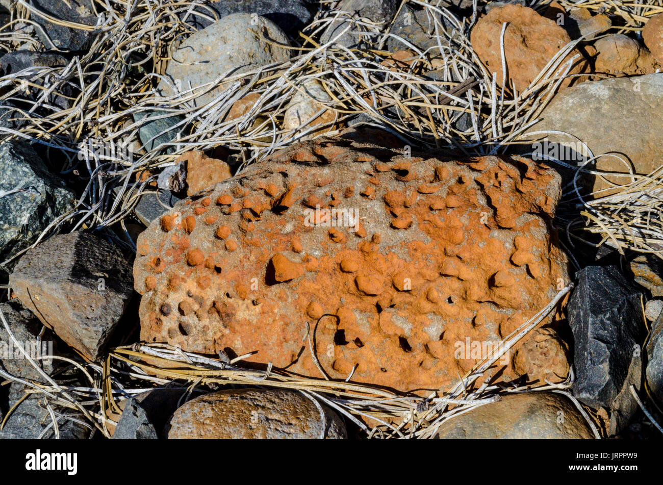 Volcanic ejecta at the foot of a large cinder cone near Crater Lake ...