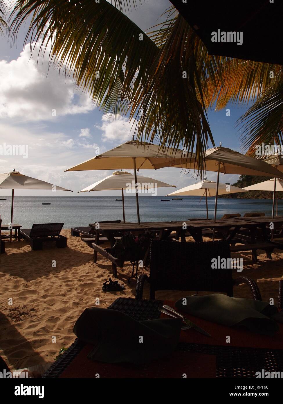 Beach chairs, tables and palm trees at Crocus Bay, Anguilla, BWI Stock ...