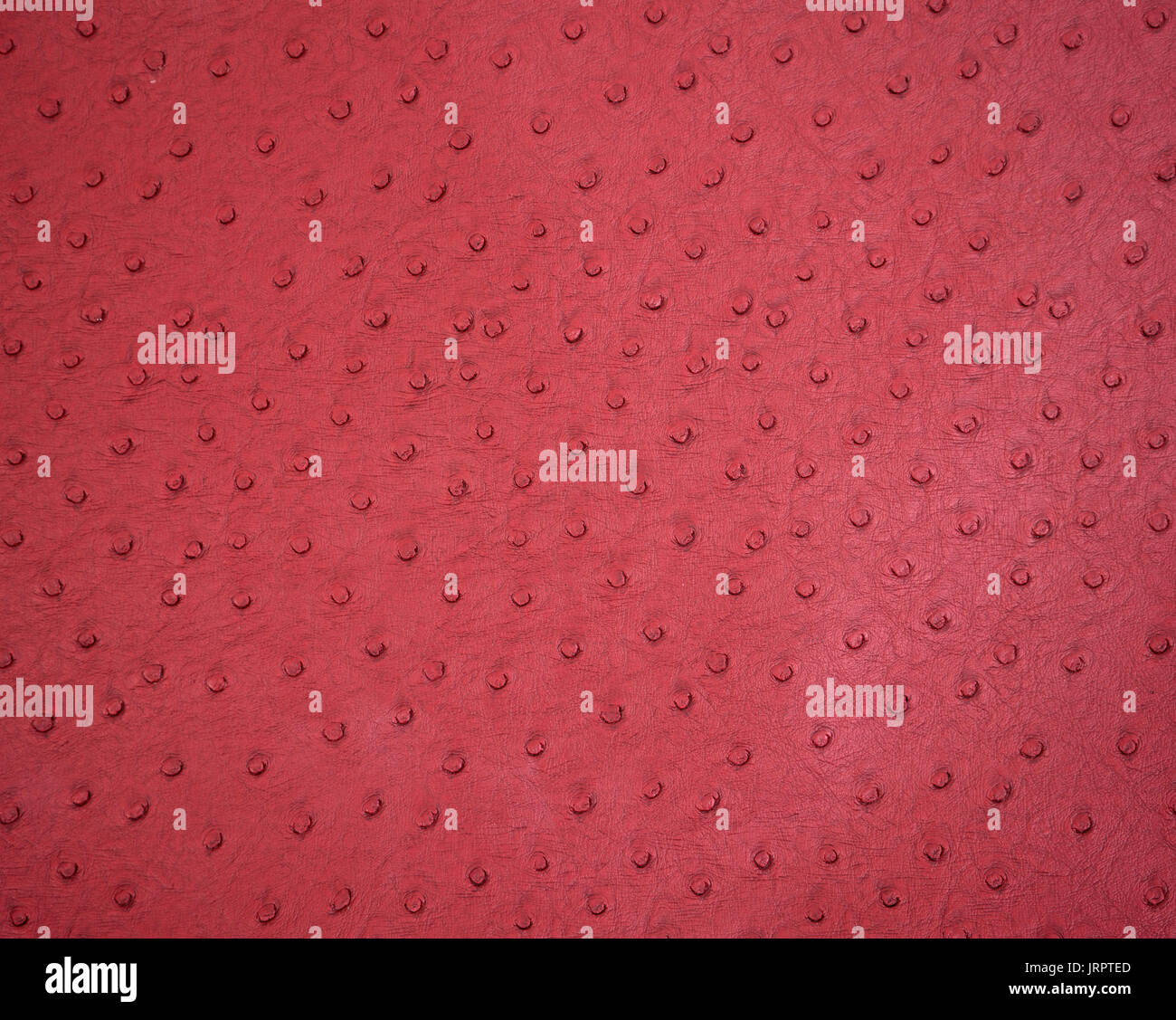 background textured of ostrich leather close up Stock Photo - Alamy