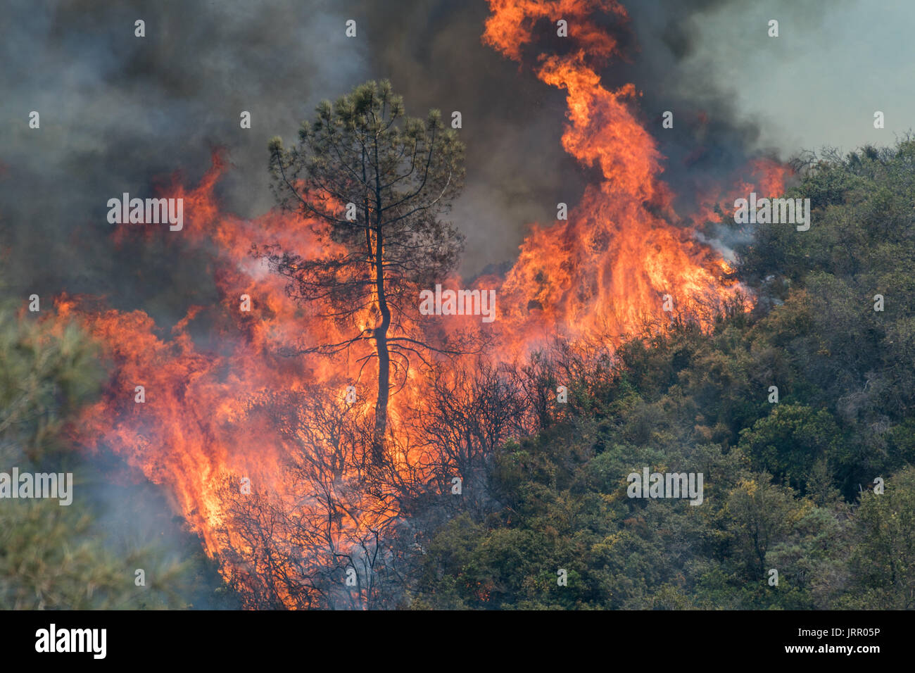Mariposa coulterville hi-res stock photography and images - Alamy