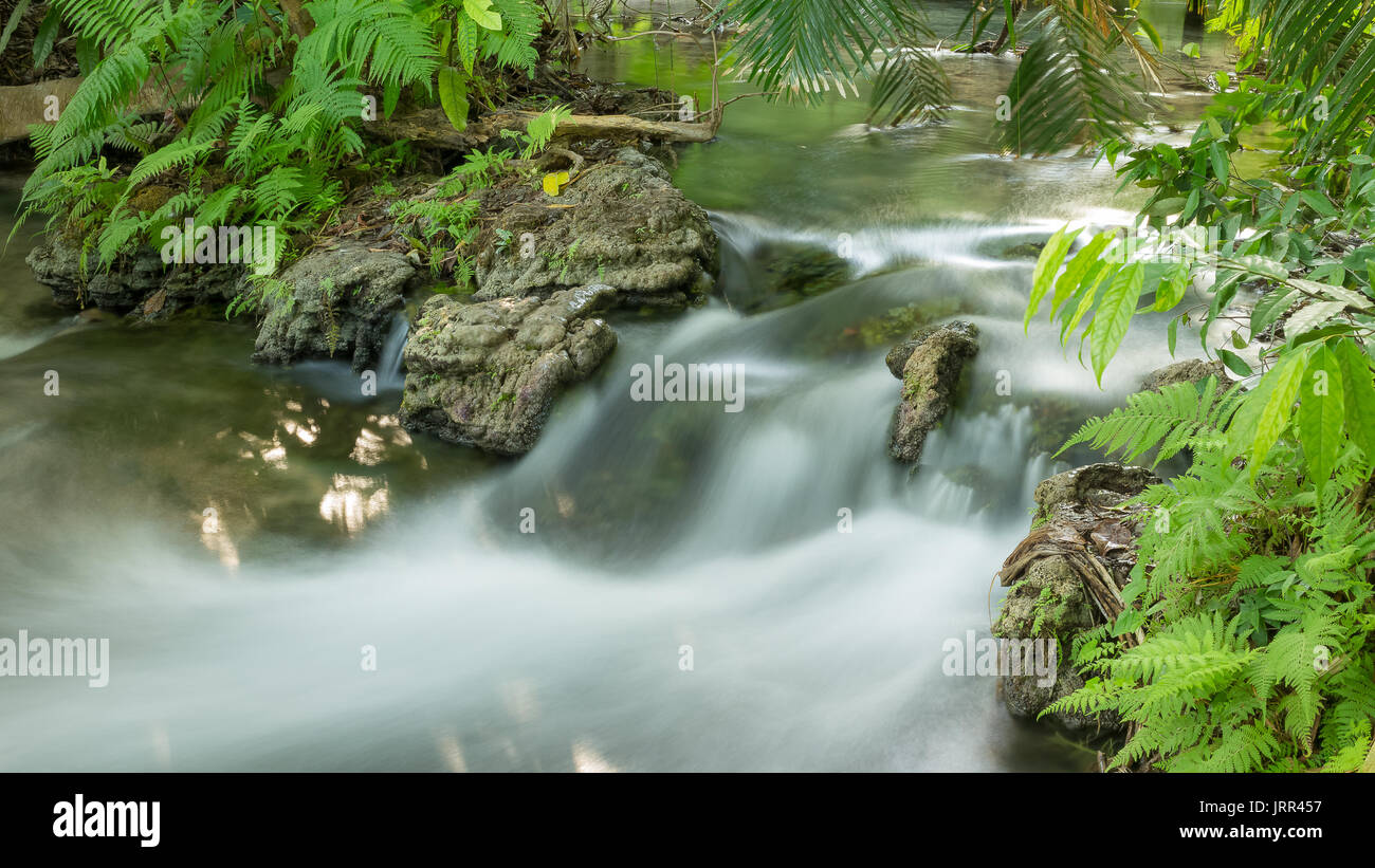 Woodland waterfall hi-res stock photography and images - Alamy