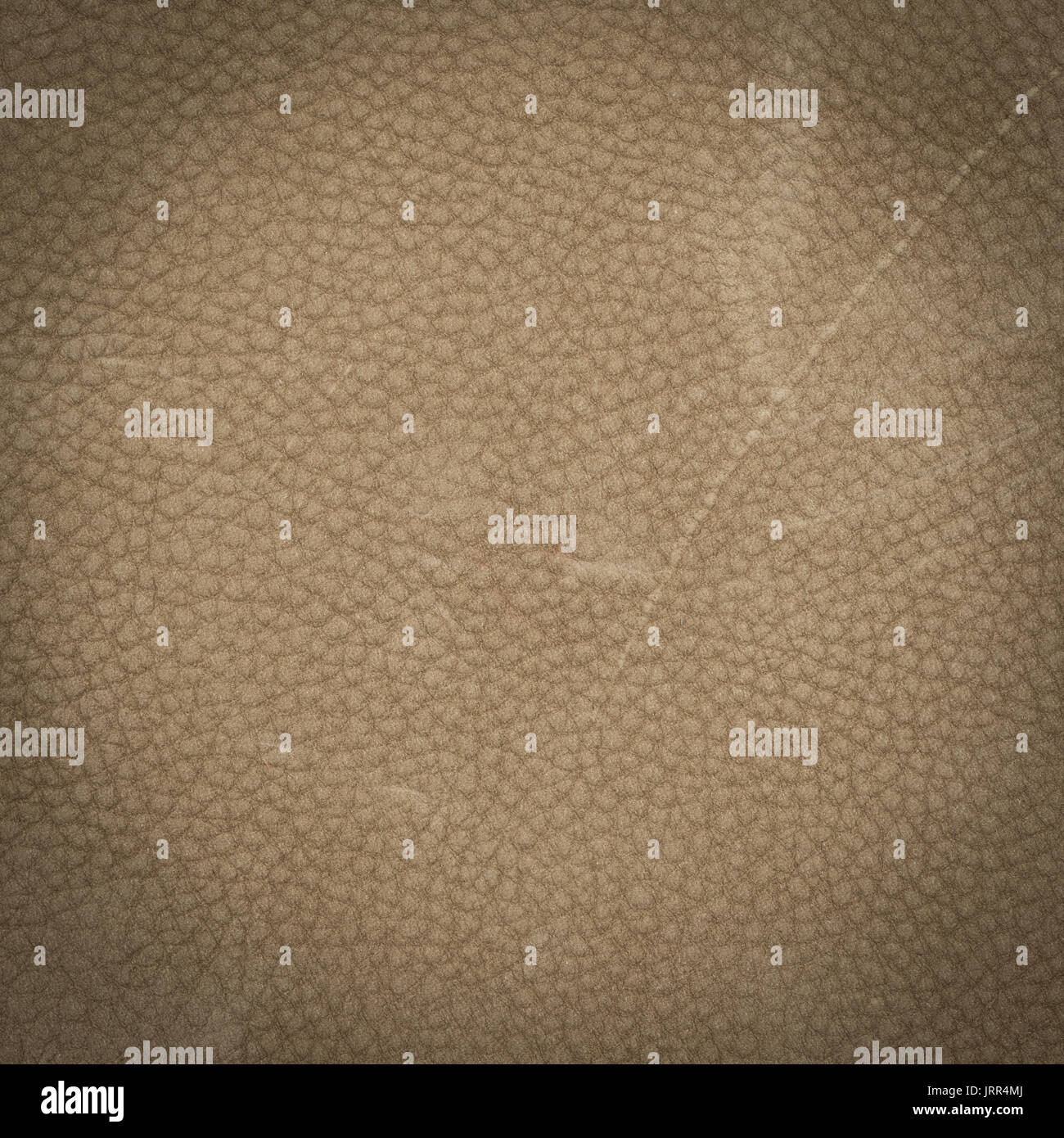 Decorative scar hi-res stock photography and images - Alamy