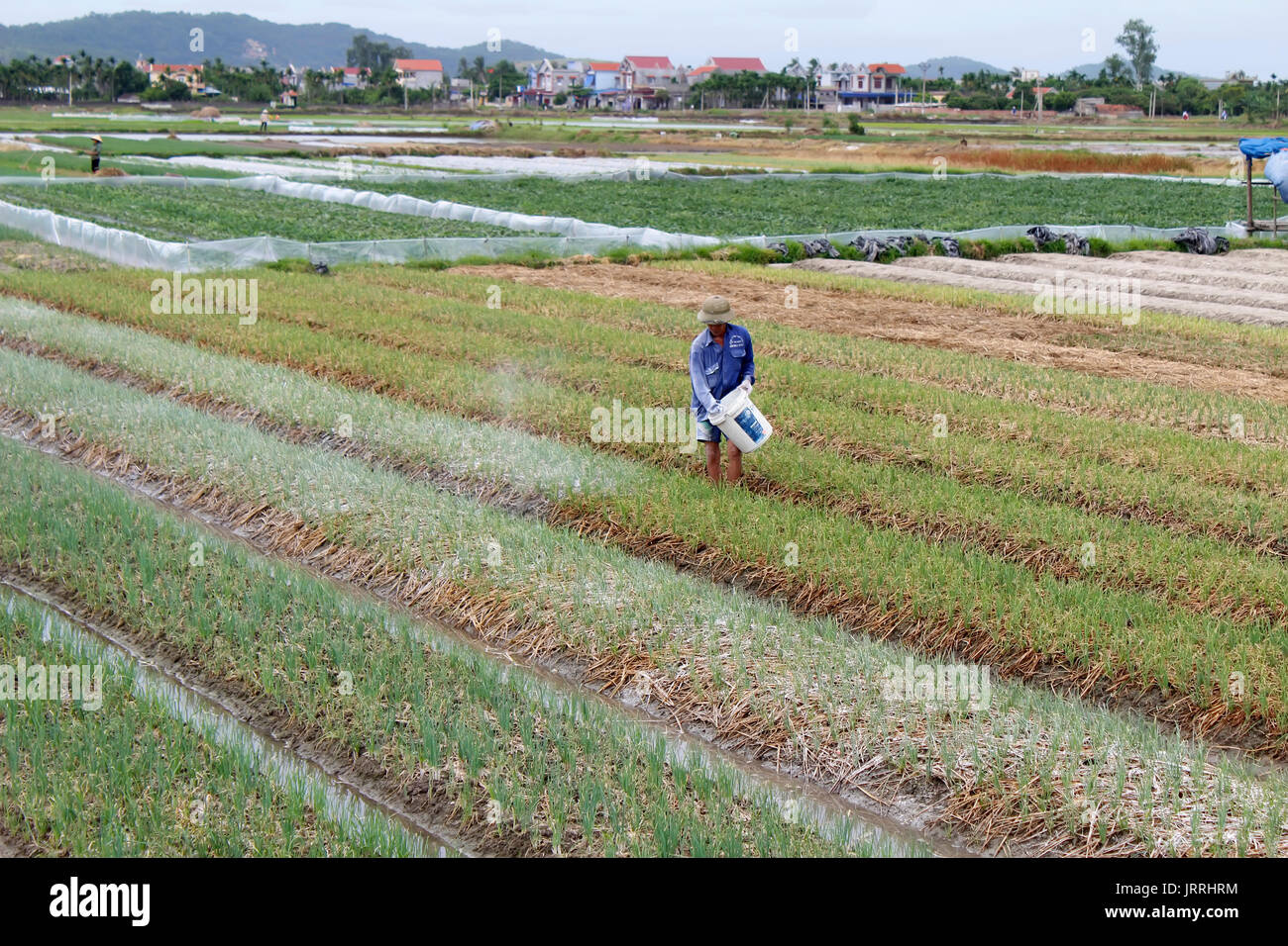Farmers hard work hi-res stock photography and images - Alamy