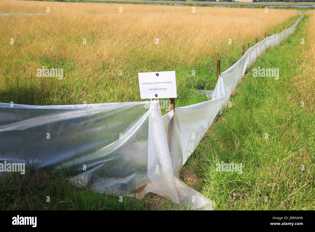 Ecological survey in progress sign, Sutton, Suffolk, England, UK Stock ...