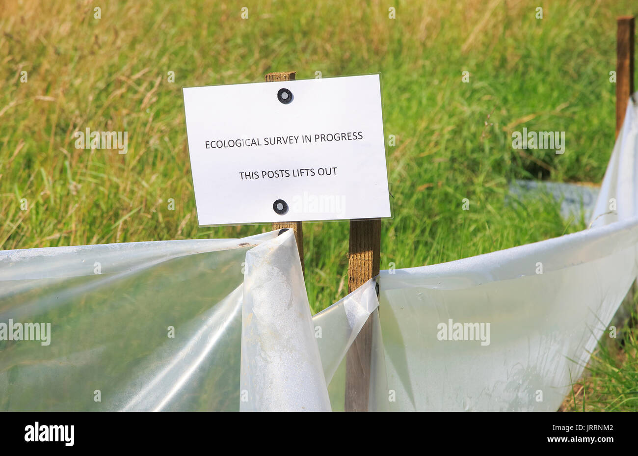 Ecological survey in progress sign, Sutton, Suffolk, England, UK Stock ...