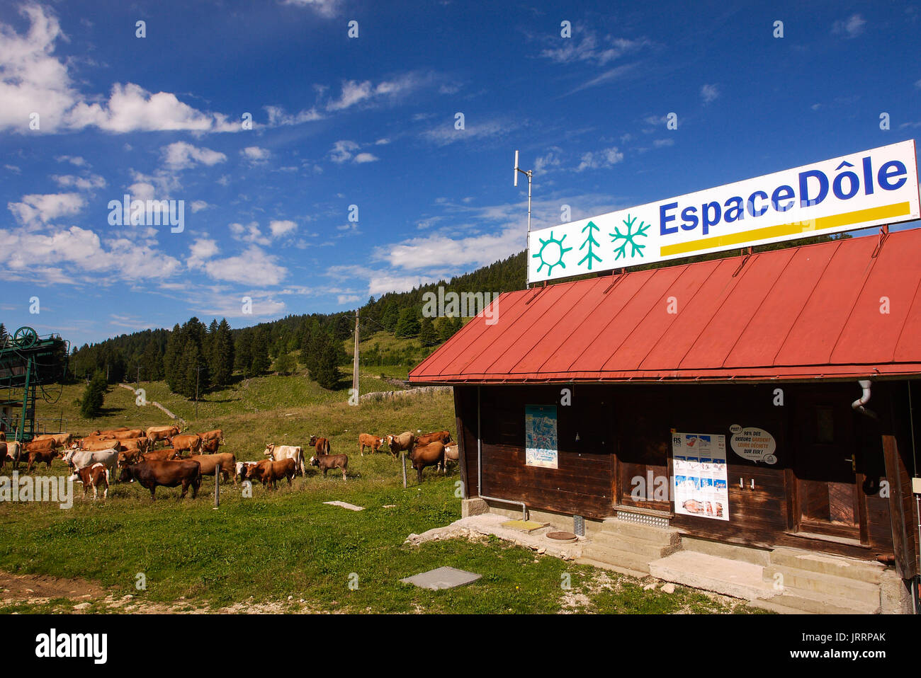 Jura Mountains landscape, Les Rousses, La Dôle mountain, Franche-Comté ...