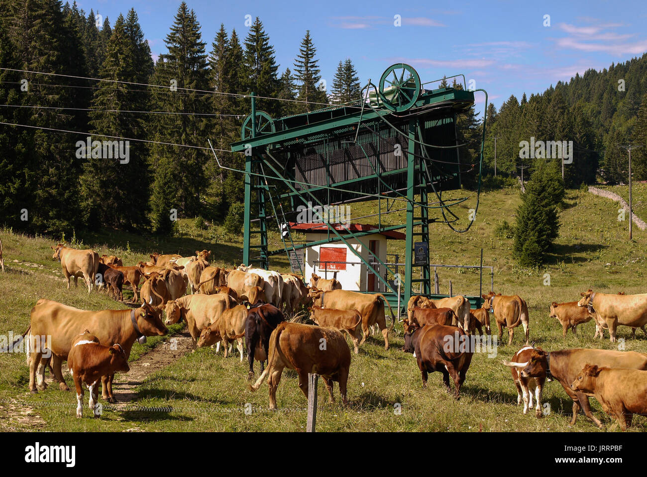 Jura Mountains landscape, Les Rousses, La Dôle mountain, Franche-Comté ...