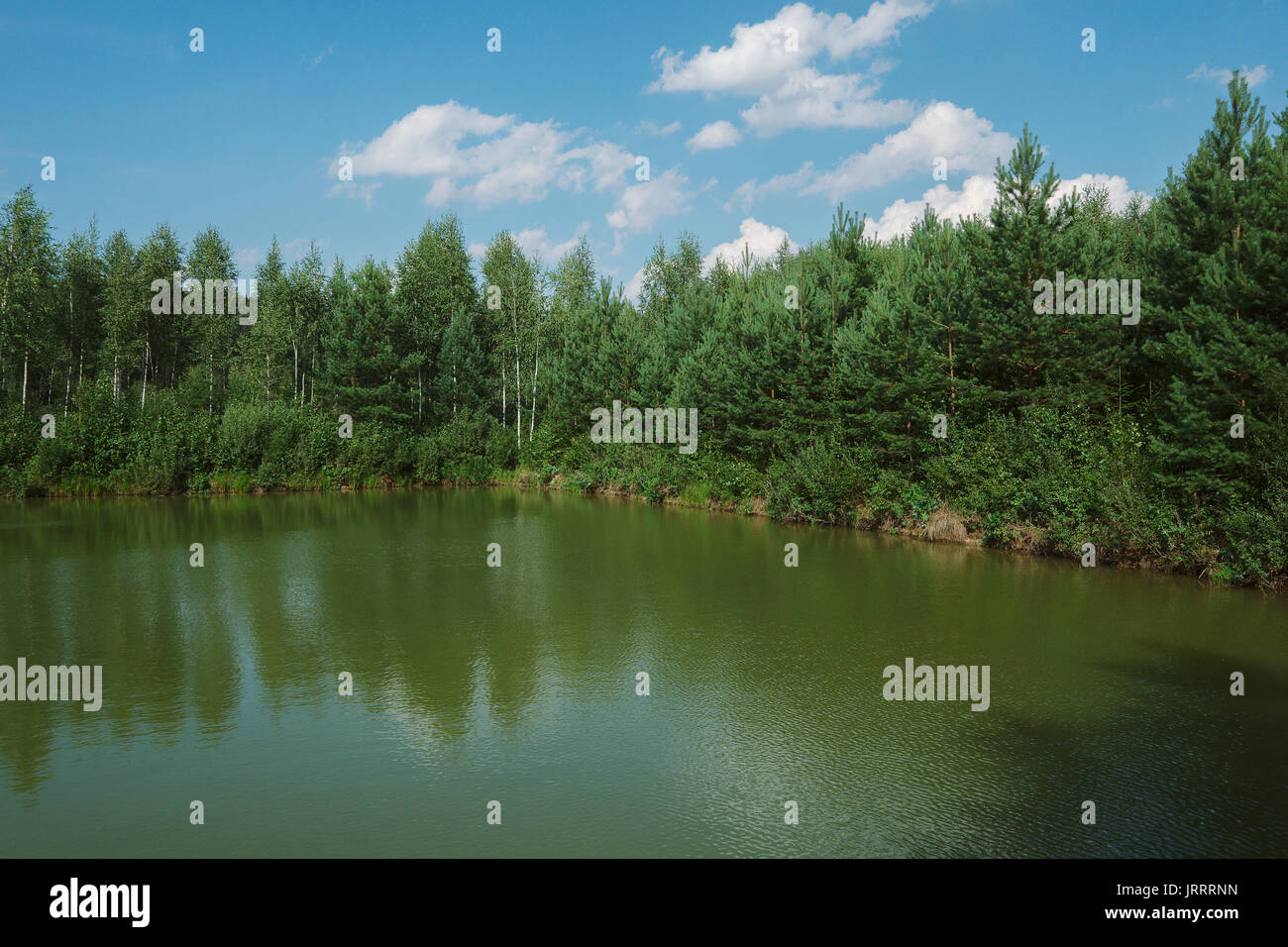 Lake in deep forest Stock Photo - Alamy