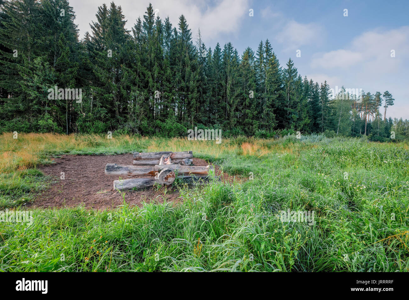 Salt feeder for wild animal in forest Stock Photo - Alamy