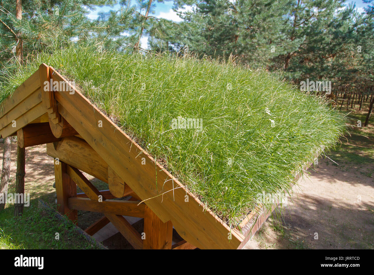 Grass Roof is environmentally friendly Stock Photo - Alamy