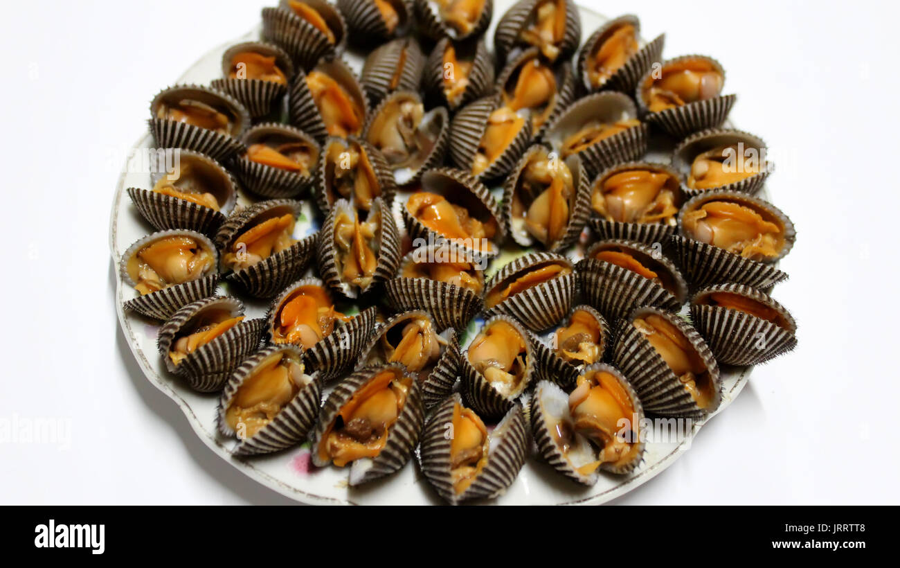 steamed sea shell isolated on white background Stock Photo - Alamy