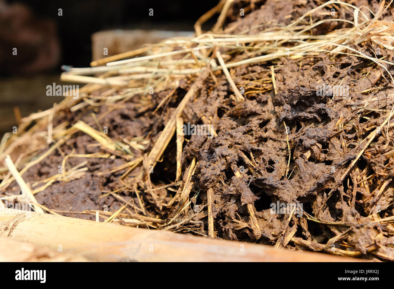 Pile of farmyard manure hi-res stock photography and images - Alamy