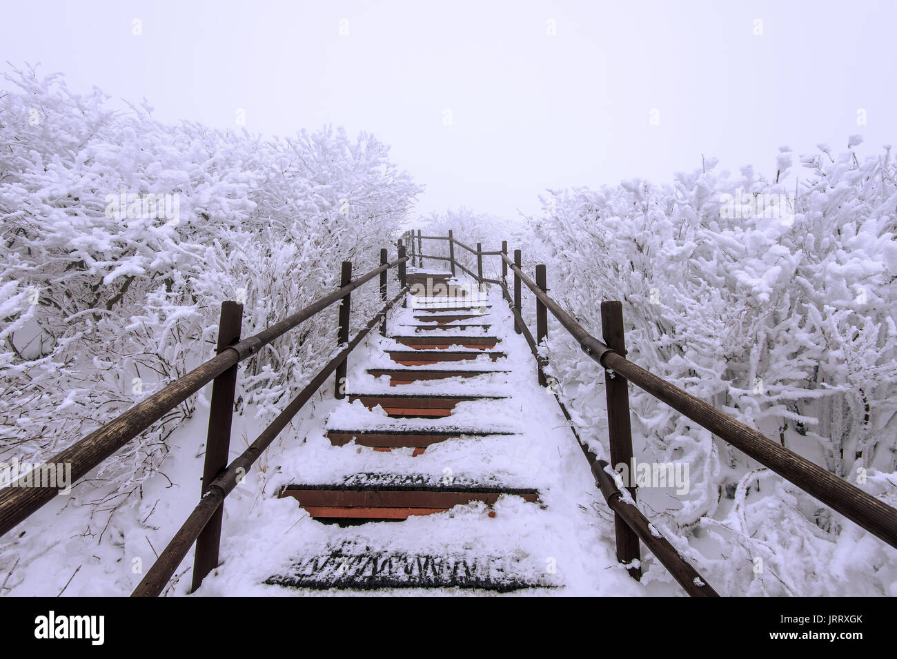 Wooden stairs on a hillside in winter. Deogyusan mountains in South ...