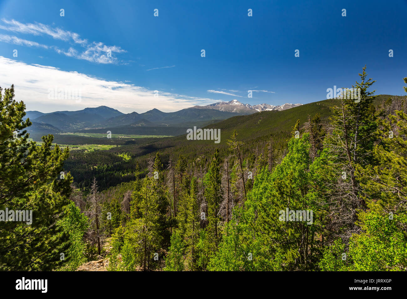 All parks curve hi-res stock photography and images - Alamy
