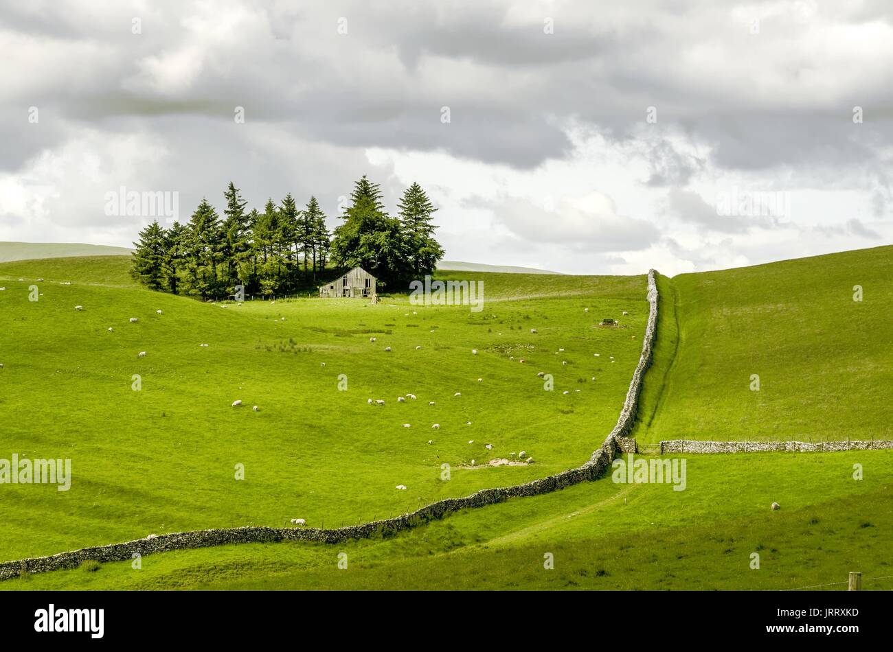 Beautiful moorland hi-res stock photography and images - Alamy
