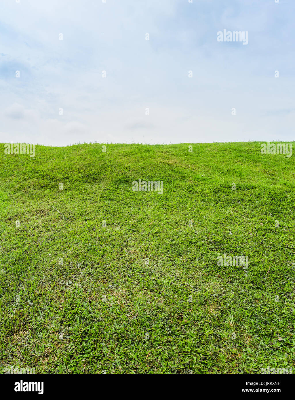 Green grass field on small hill and blue sky with clouds, beautiful ...