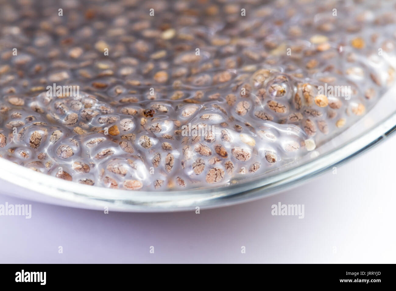 water soaked chia seeds isolated on a white background Stock Photo - Alamy