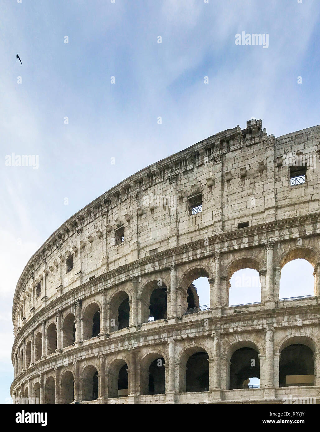 The Colosseum is the largest amphitheatre ever built by the Romans ...