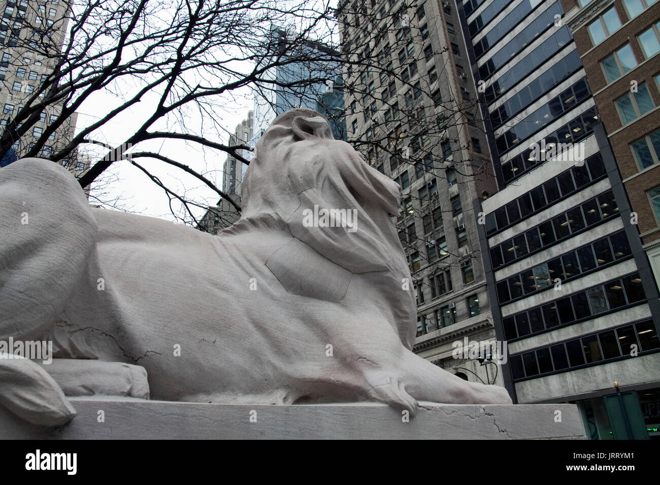 Lion statue at the entrance to New York Public Library in Manhattan, NY ...