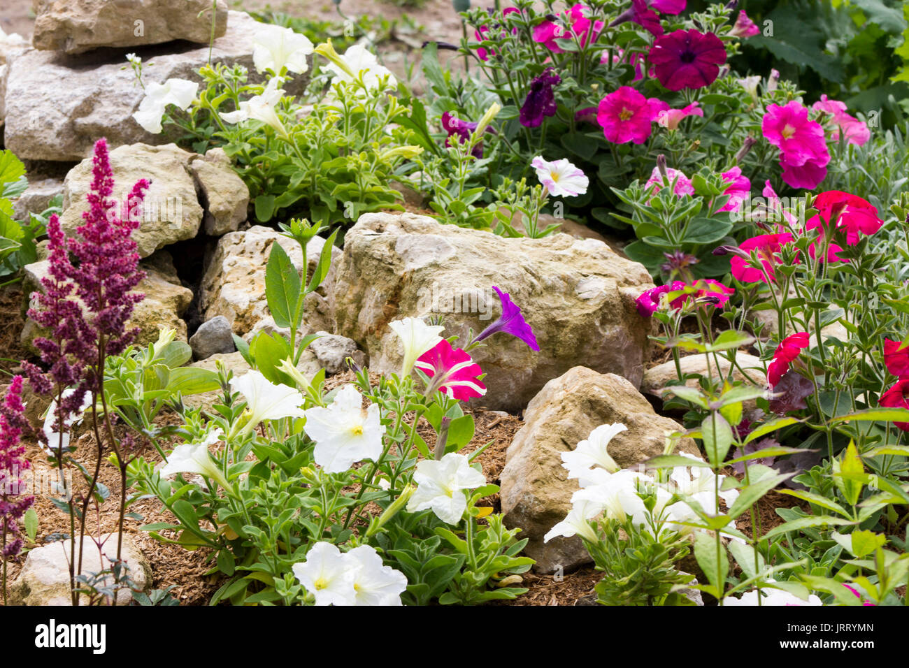 Rock garden design hi-res stock photography and images - Alamy