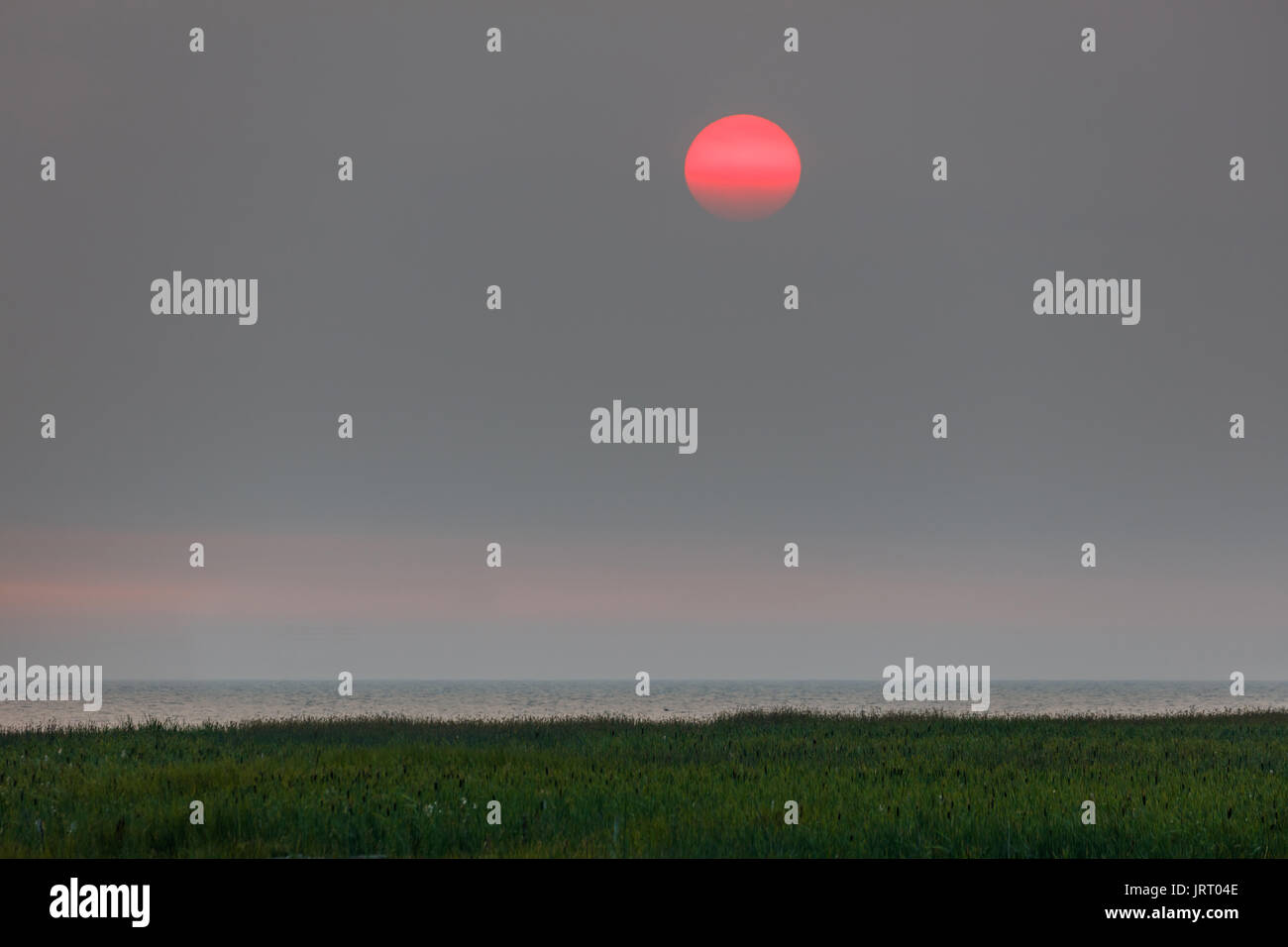 Red sunset in a haze, The smoke from wildfires in BC Interior has ...