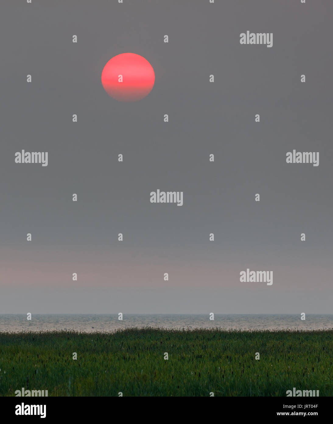 Red sunset in a haze, The smoke from wildfires in BC Interior has ...