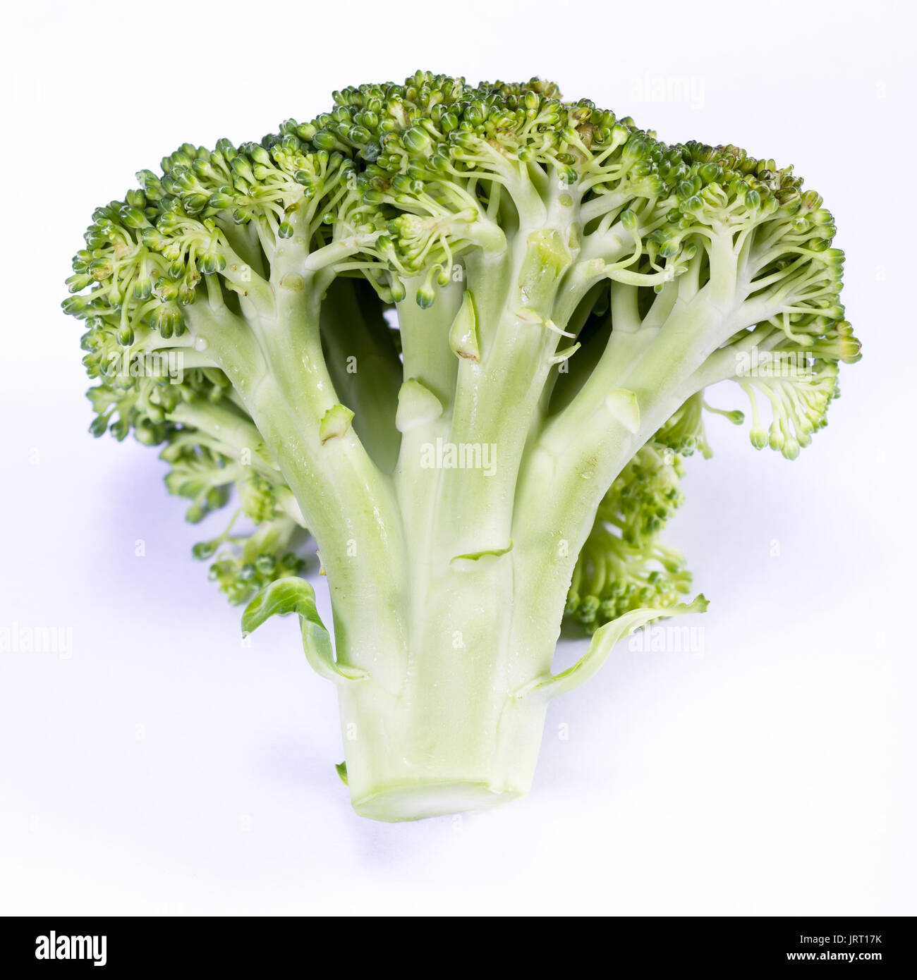 fresh organic broccoli isolated over a white background Stock Photo - Alamy
