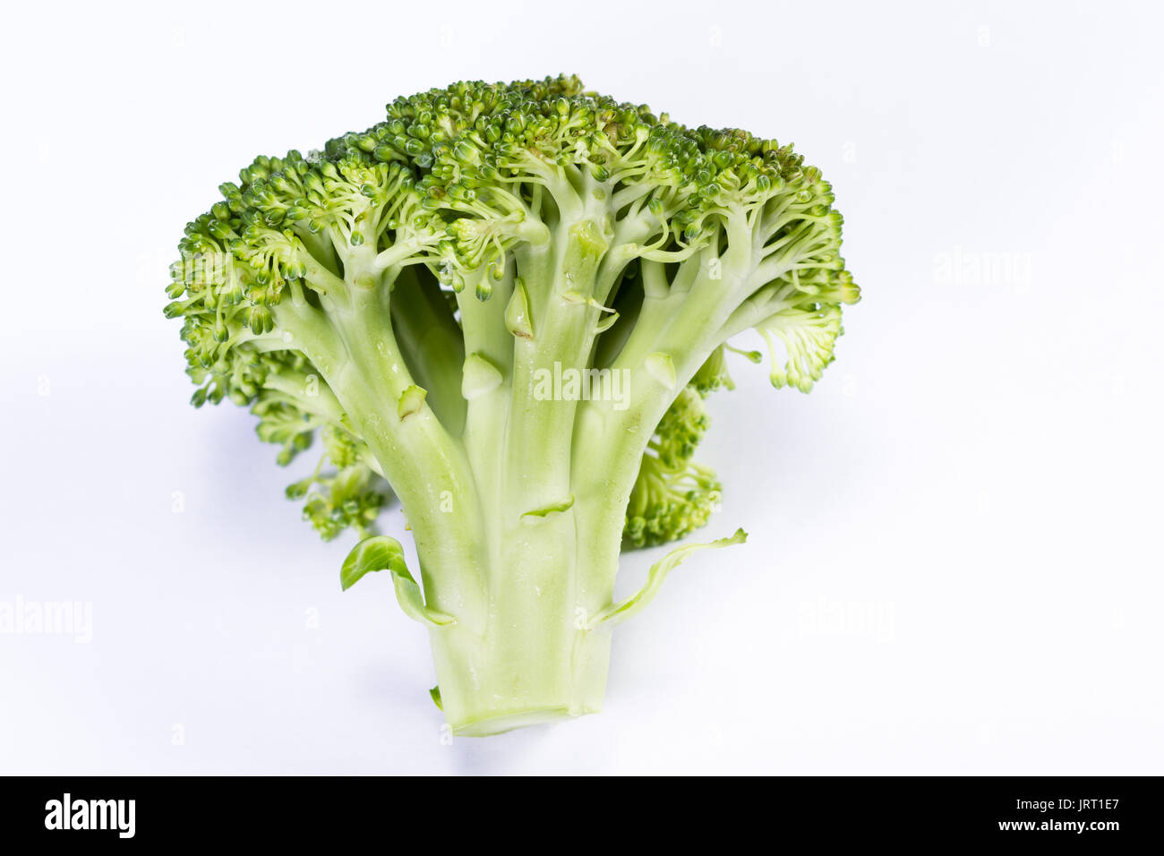 fresh organic broccoli isolated over a white background Stock Photo - Alamy