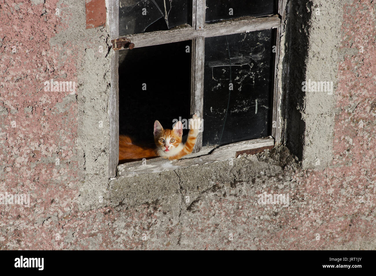 Barbed window hi-res stock photography and images - Alamy