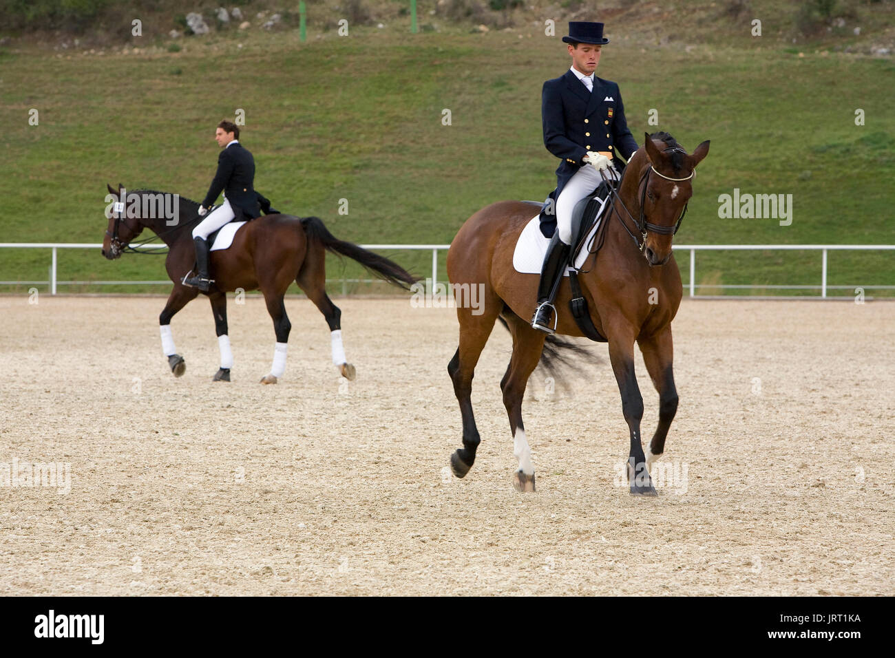 Dressage horses head hi-res stock photography and images - Alamy