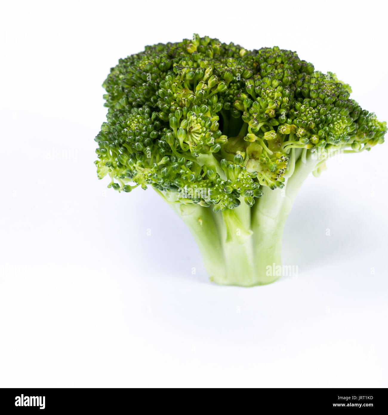 fresh organic broccoli isolated over a white background Stock Photo - Alamy